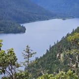 Wesley Ridge, British Columbia, Canada - 776 Reviews, Map | AllTrails