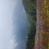 Ira Spring Memorial Trail, Washington - 2,126 Reviews, Map | AllTrails