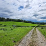 Teesdale Three Waterfalls Circular, County Durham, England - 572 ...