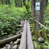 Heybrook Ridge via Leovy Trail, Washington - 1,681 Reviews, Map | AllTrails