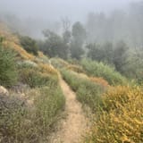 Ocean Overlook Loop, California - 1,003 Reviews, Map | AllTrails