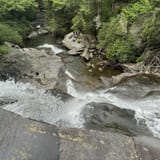 Ramsey Cascades Trail, Tennessee - 2,424 Reviews, Map | AllTrails