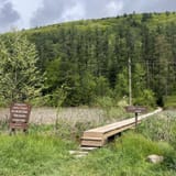 Jacoby Falls Trail, Pennsylvania - 676 Reviews, Map | AllTrails