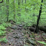 Jacoby Falls Trail, Pennsylvania - 676 Reviews, Map | AllTrails