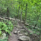 Hawk Rock Loop, Pennsylvania - 1,470 Reviews, Map | AllTrails