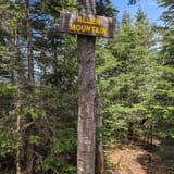 Allen Mountain Trail, New York - 1,180 Reviews, Map | AllTrails