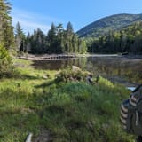 Allen Mountain Trail, New York - 1,180 Reviews, Map | AllTrails