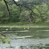 Mashpee River Woodlands North Trail, Massachusetts - 618 Reviews, Map ...