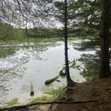 Mashpee River Woodlands North Trail, Massachusetts - 618 Reviews, Map ...