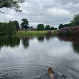Redesmere and Capesthorne Circular, Cheshire, England - 110 Reviews ...