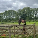Redesmere and Capesthorne Circular, Cheshire, England - 110 Reviews ...