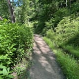 Alberton Road Trail, Maryland - 1,405 Reviews, Map | AllTrails