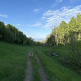 Spring Canyon Trail, Utah - 401 Reviews, Map | AllTrails