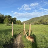 Spring Canyon Trail, Utah - 401 Reviews, Map | AllTrails