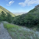 Spring Canyon Trail, Utah - 401 Reviews, Map | AllTrails