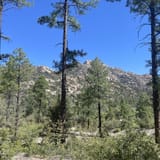 Balancing Rock Trail, Arizona - 649 Reviews, Map | AllTrails