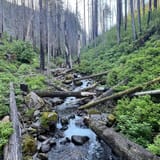 Angels Rest to Devil's Rest Loop Trail, Oregon - 1,242 Reviews, Map ...