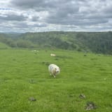 Chee Dale Gorge Circular, Derbyshire, England - 1,550 Reviews, Map ...