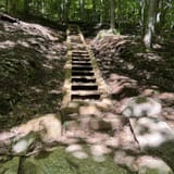 Mount Arab Trail, New York - 2,323 Reviews, Map | AllTrails