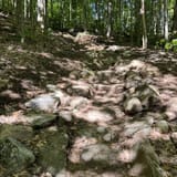Mount Arab Trail, New York - 2,323 Reviews, Map | AllTrails