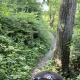 Lake Redman Trail 5 Loop, Pennsylvania - 202 Reviews, Map | AllTrails