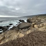 Salt Point Trail to Stump Beach, California - 755 Reviews, Map | AllTrails