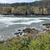 Salt Point Trail to Stump Beach, California - 755 Reviews, Map | AllTrails