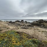 Salt Point Trail to Stump Beach, California - 755 Reviews, Map | AllTrails