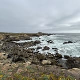 Salt Point Trail to Stump Beach, California - 755 Reviews, Map | AllTrails