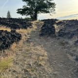Upper Table Rock Trail, Oregon - 1,821 Reviews, Map | AllTrails