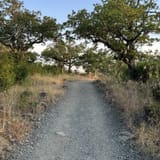 Upper Table Rock Trail, Oregon - 1,821 Reviews, Map | AllTrails