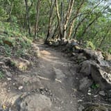 Upper Table Rock Trail, Oregon - 1,821 Reviews, Map | AllTrails