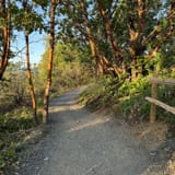 Upper Table Rock Trail, Oregon - 1,821 Reviews, Map | AllTrails