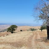 Ohlone Wilderness Trail - Del Valle, California - 499 Reviews, Map ...