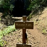 Phantom Falls Trail, California - 2,363 Reviews, Map | AllTrails