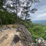 George W. Disney Trail, Georgia - 587 Reviews, Map | AllTrails