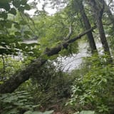 Jones Bridge Trail , Georgia - 2,722 Reviews, Map | AllTrails