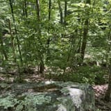 Zoar Trail, Connecticut - 2,328 Reviews, Map | AllTrails