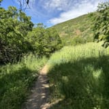 Red Butte Canyon Overlook, Utah - 538 Reviews, Map | AllTrails