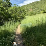 Red Butte Canyon Overlook, Utah - 538 Reviews, Map | AllTrails