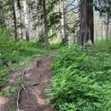 Angels Rest to Devil's Rest Loop Trail, Oregon - 1,242 Reviews, Map ...