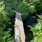 Angels Rest to Devil's Rest Loop Trail, Oregon - 1,242 Reviews, Map ...