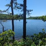 Council Bluff Lake Loop, Missouri - 278 Reviews, Map | AllTrails