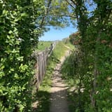 Sconset Bluff Path, Massachusetts - 315 Reviews, Map | AllTrails