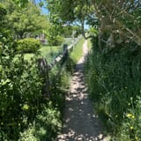 Sconset Bluff Path, Massachusetts - 315 Reviews, Map | AllTrails