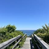 Sconset Bluff Path, Massachusetts - 315 Reviews, Map | AllTrails