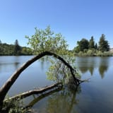 Spring Lake Loop, California - 1,624 Reviews, Map | AllTrails