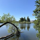 Spring Lake Loop, California - 1,624 Reviews, Map | AllTrails