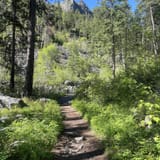 Upper and Lower Falls via Blodgett Canyon Trail, Montana - 967 Reviews ...
