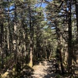 Mount Lafayette and Franconia Ridge Trail Loop, New Hampshire - 12,836 ...